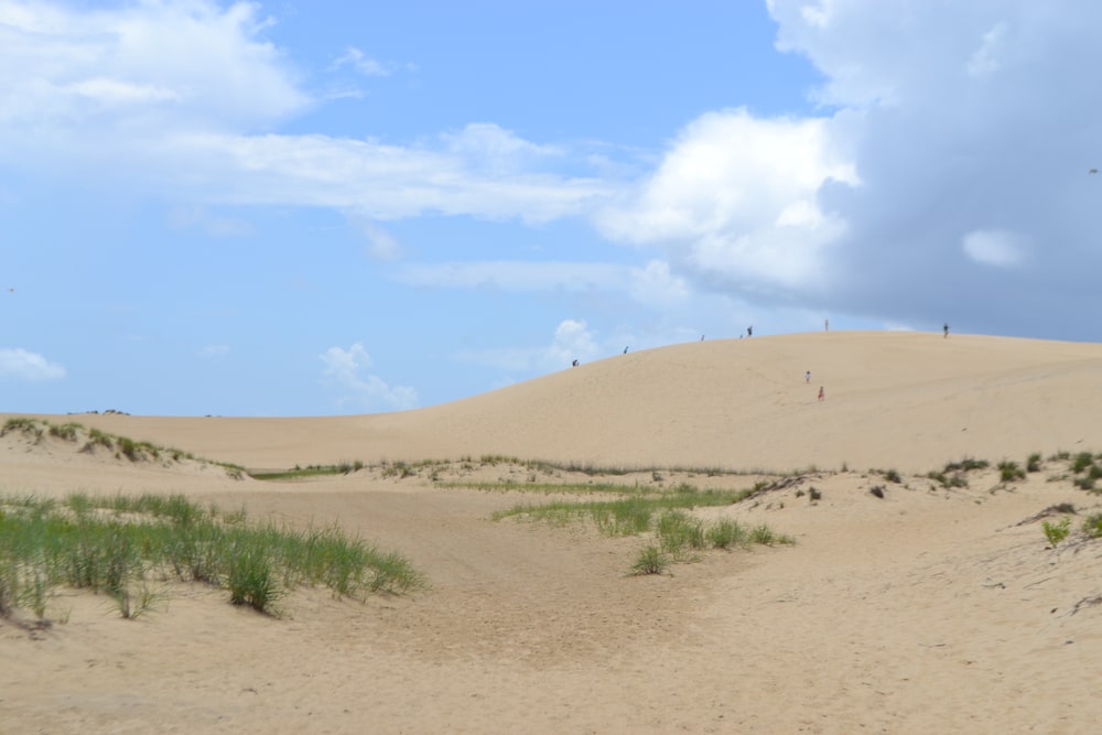 sand dune park outer banks